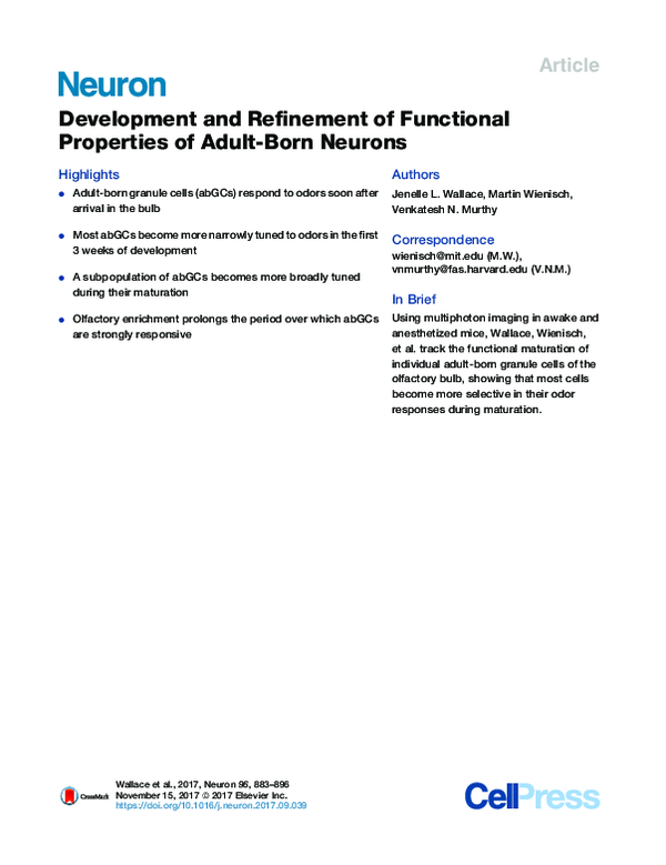 (PDF) Development and Refinement of Functional Properties of Adult-Born ...