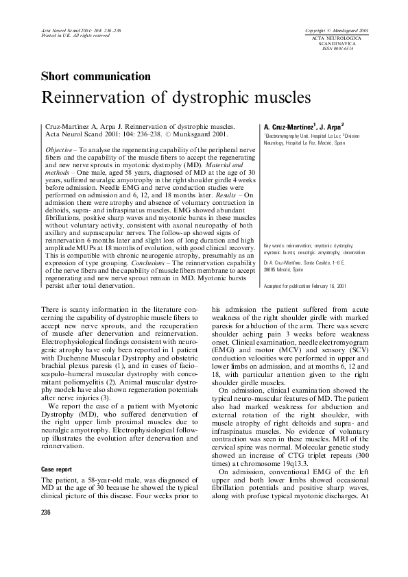 (PDF) Reinnervation of dystrophic muscles | Javier Arpa Gutíérrez ...