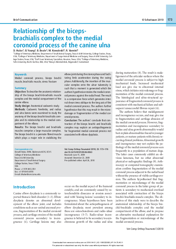 (PDF) Relationship of the biceps-brachialis complex to the medial ...