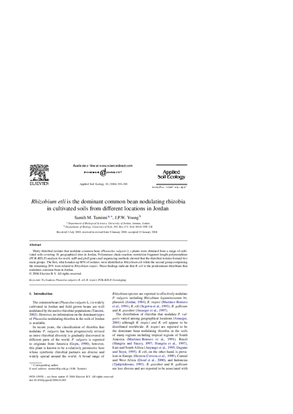 (PDF) Rhizobium etli is the dominant common bean nodulating rhizobia in ...