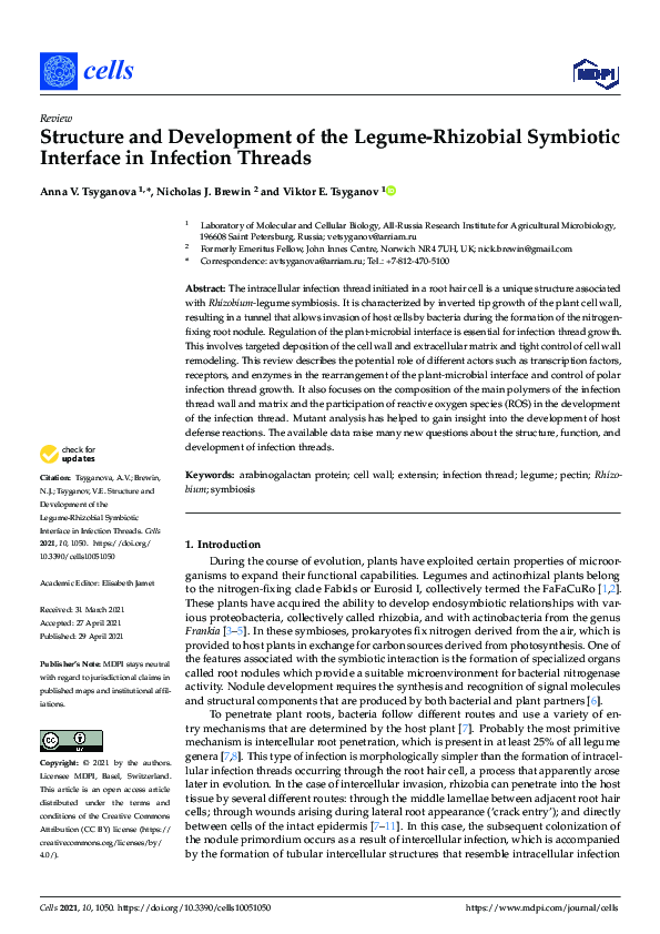 (PDF) Structure and Development of the Legume-Rhizobial Symbiotic ...