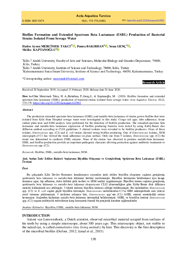 (PDF) Biofilm Formation and Extended Spectrum Beta Lactamase (ESBL ...