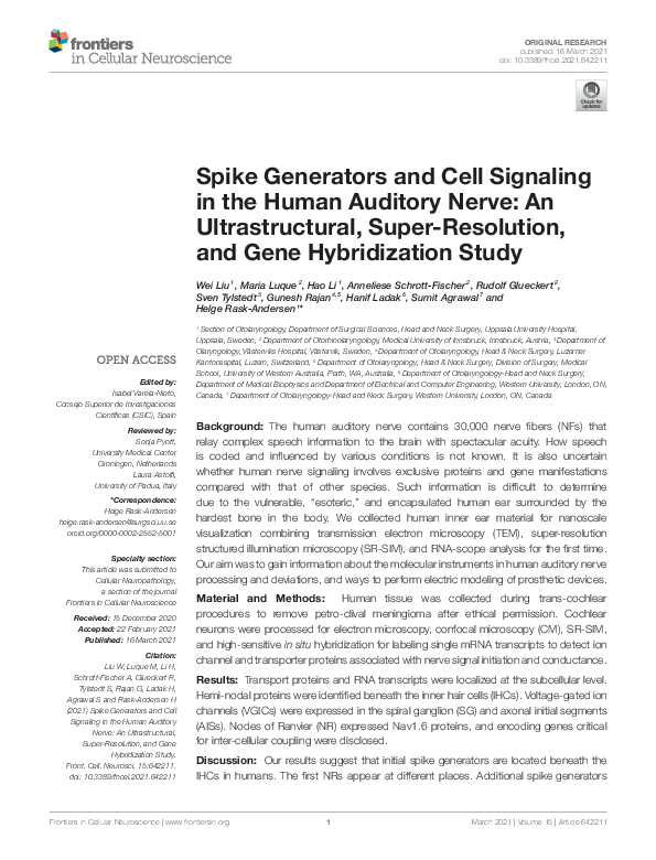 (PDF) Spike Generators and Cell Signaling in the Human Auditory Nerve ...