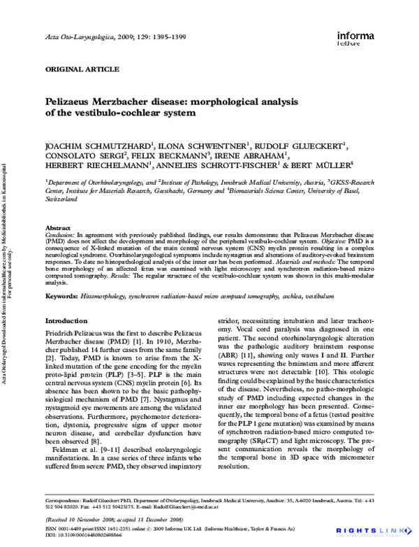 (PDF) Pelizaeus Merzbacher disease: morphological analysis of the ...