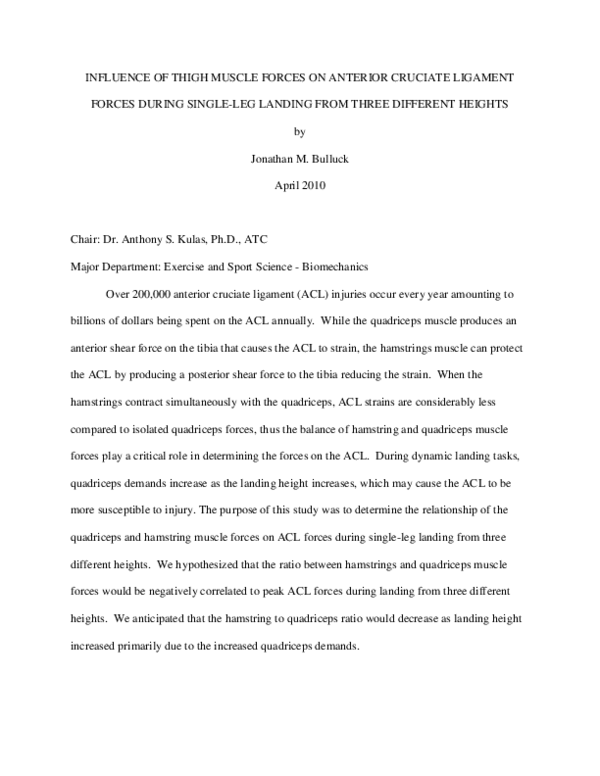 (PDF) Influence of thigh muscle forces on anterior cruciate ligament ...