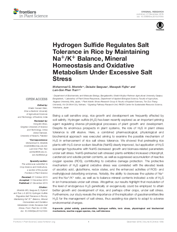 (PDF) Hydrogen Sulfide Regulates Salt Tolerance in Rice by Maintaining ...