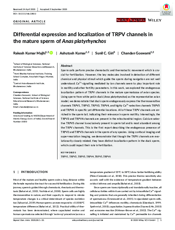 (PDF) Differential expression and localization of TRPV channels in the ...