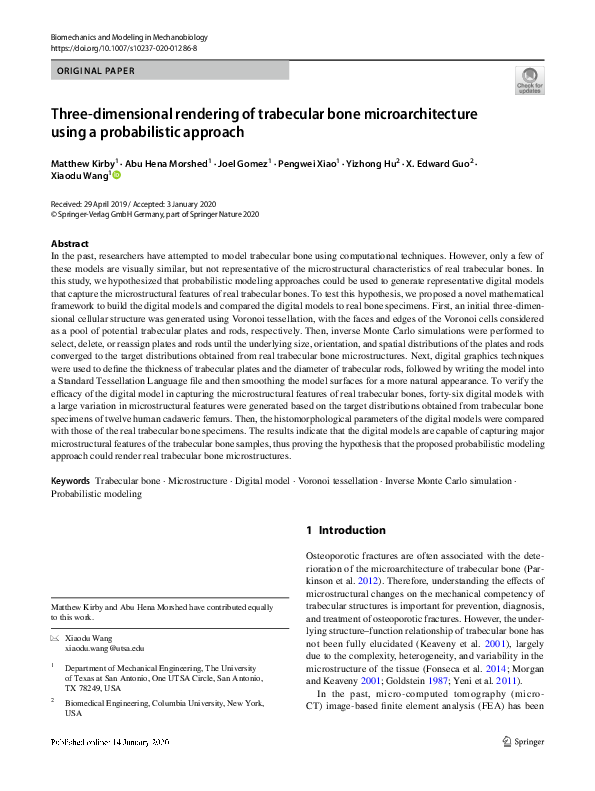 (PDF) Three-dimensional rendering of trabecular bone microarchitecture using a probabilistic ...