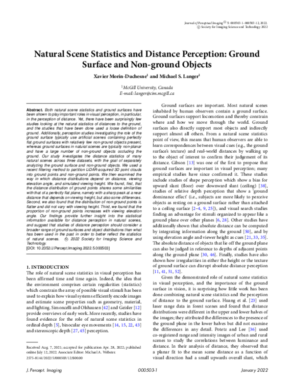 (PDF) Natural Scene Statistics and Distance Perception: Ground Surface and Non-ground Objects