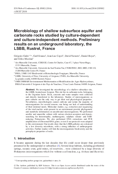 (PDF) Microbiology of shallow subsurface aquifer and carbonate rocks ...