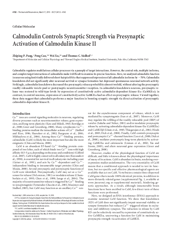 (PDF) Calmodulin Controls Synaptic Strength via Presynaptic Activation ...