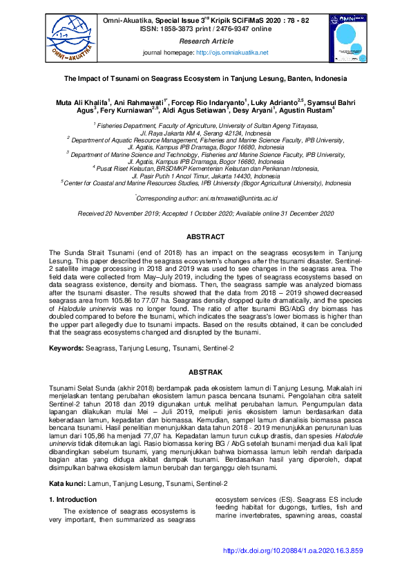 (PDF) The Impact of Tsunami on Seagrass Ecosystem in Tanjung Lesung ...