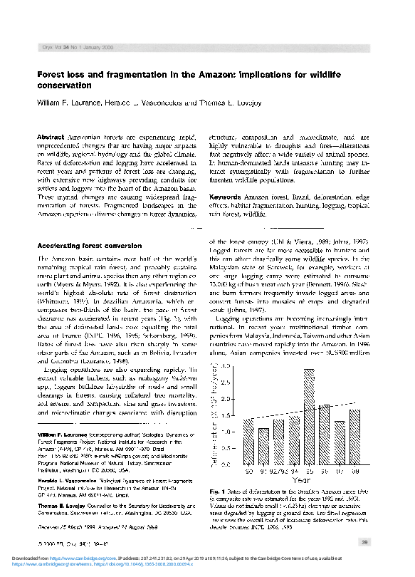 (PDF) Forest loss and fragmentation in the Amazon: implications for ...
