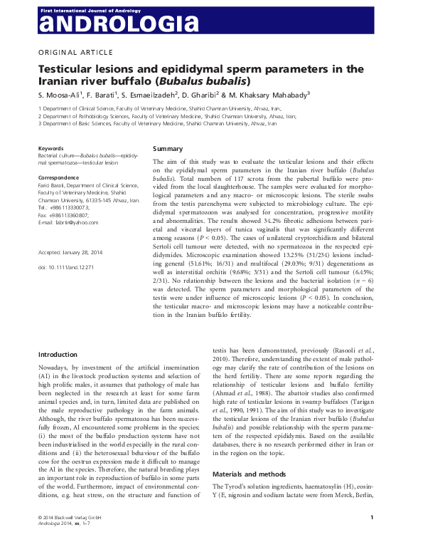 (PDF) Testicular lesions and epididymal sperm parameters in the Iranian ...
