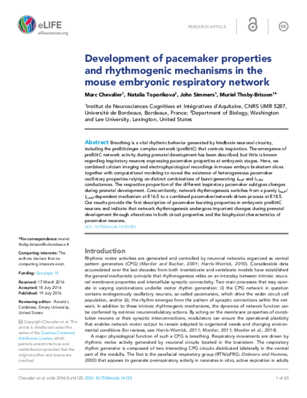 (PDF) Development of pacemaker properties and rhythmogenic mechanisms ...
