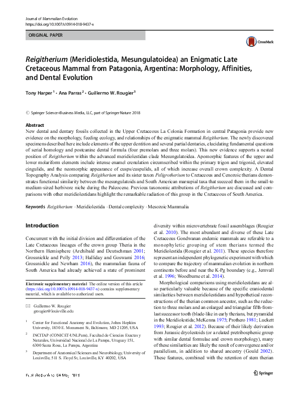 (PDF) Reigitherium (Meridiolestida, Mesungulatoidea) an Enigmatic Late ...