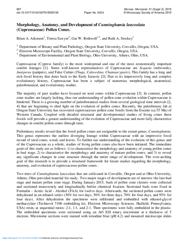 (PDF) Morphology, Anatomy, and Development of Cunninghamia lanceolata (Cupressaceae) Pollen ...