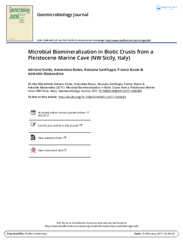 (PDF) Microbial Biomineralization in Biotic Crusts from a Pleistocene ...
