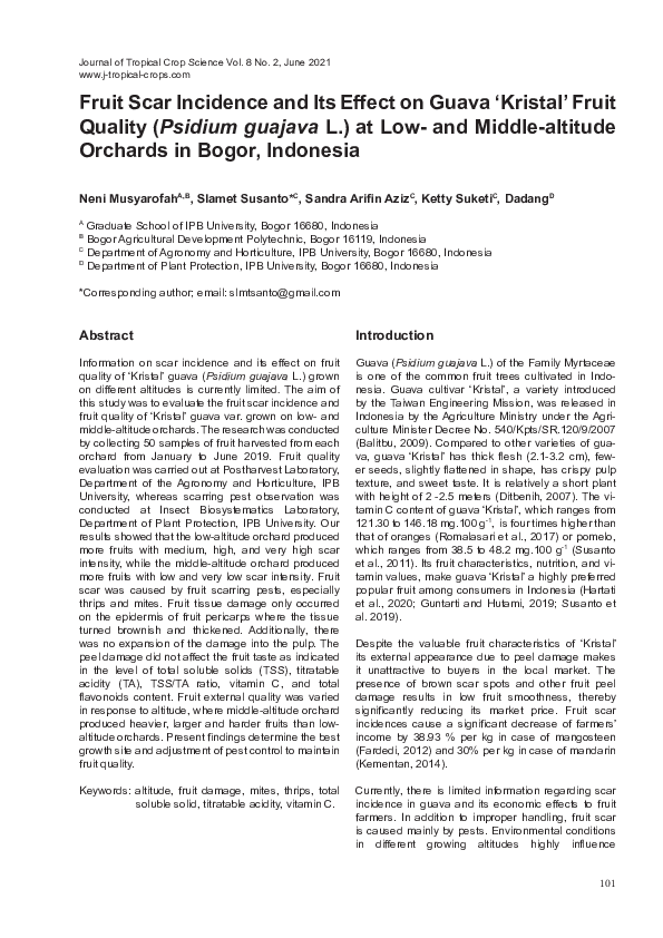 (PDF) Fruit Scar Incidence and Its Effect on Guava ‘Kristal’ Fruit Quality (Psidium guajava L ...