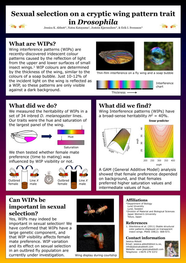 (PDF) What are WIPs?