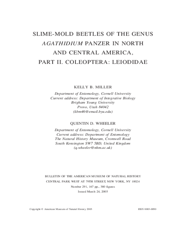 (PDF) Slime-Mold Beetles of the Genus Agathidium Panzer in North and ...