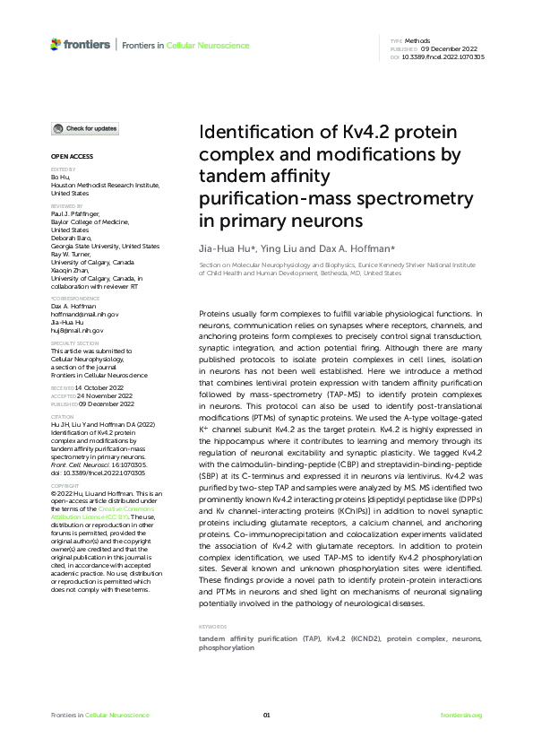 (PDF) Identification of Kv4.2 protein complex and modifications by ...
