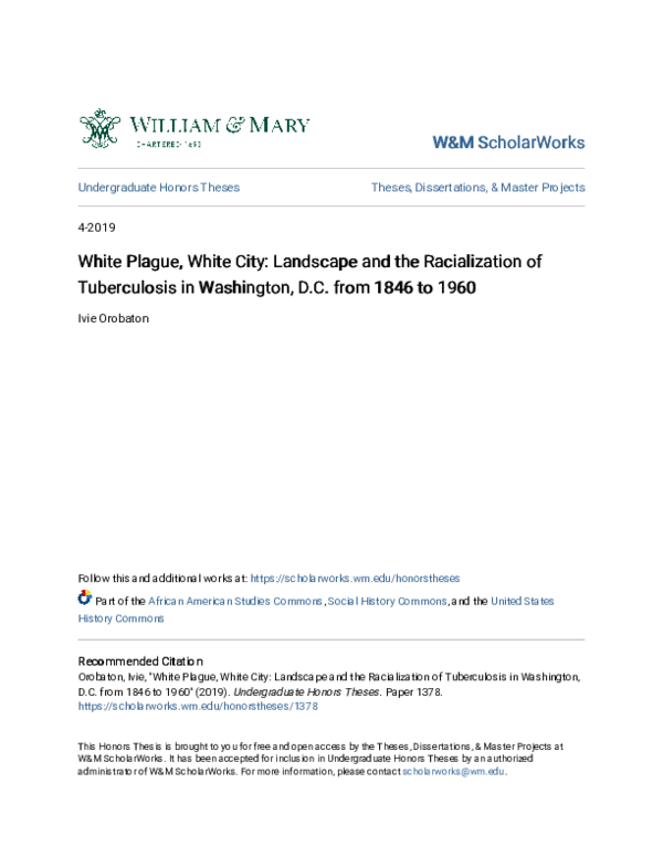 (PDF) White Plague, White City: Landscape and the Racialization of ...