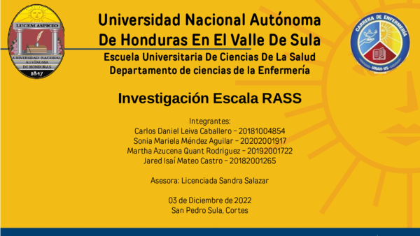 (PDF) Investigación Escala RASS
