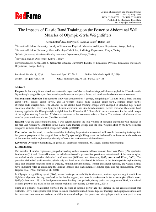 (PDF) The Impacts of Elastic Band Training on the Posterior Abdominal ...