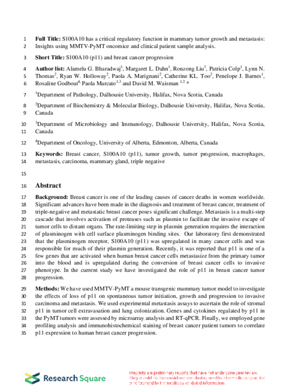 (PDF) S100A10 has a Critical Regulatory Function in Mammary Tumor ...
