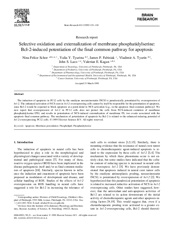 (PDF) Selective oxidation and externalization of membrane ...