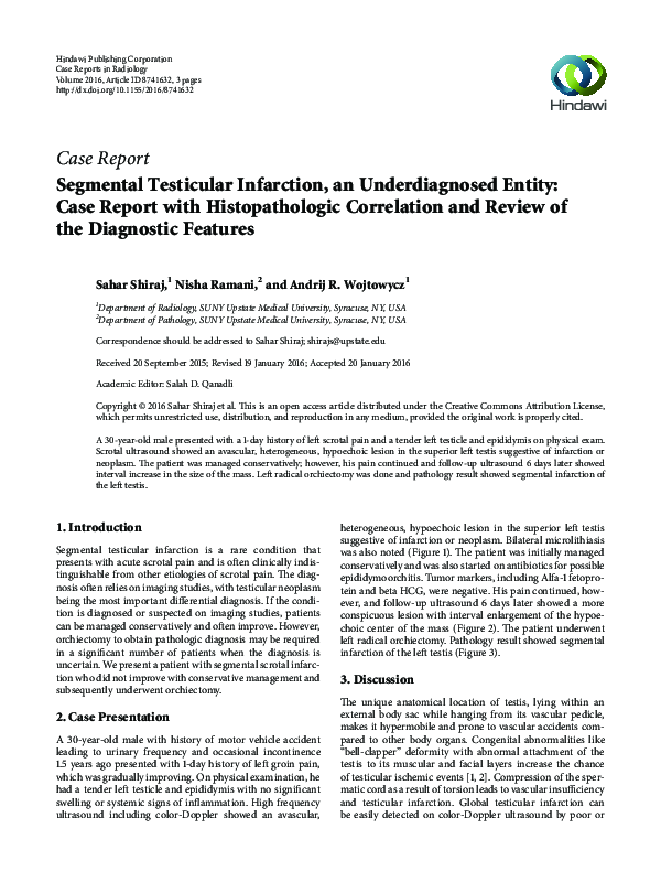 (PDF) Segmental Testicular Infarction, an Underdiagnosed Entity: Case ...