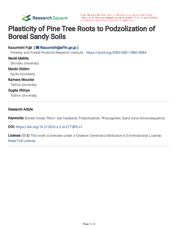 (PDF) Plasticity of Pine Tree Roots to Podzolization of Boreal Sandy Soils
