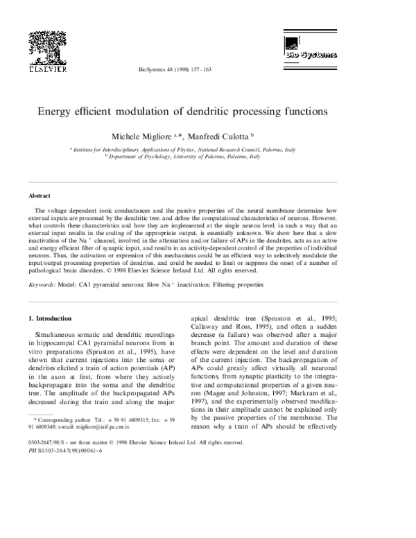 (PDF) Energy efficient modulation of dendritic processing functions | MANFREDI CULOTTA ...