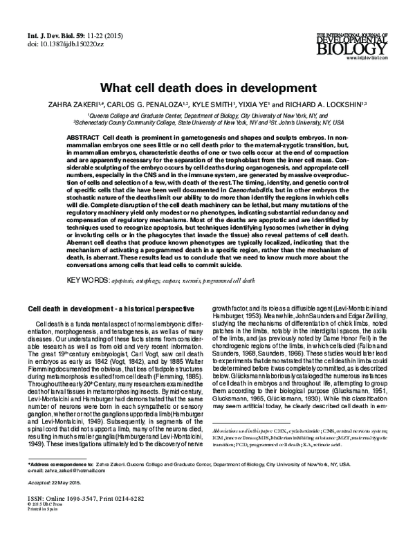 (PDF) What cell death does in development