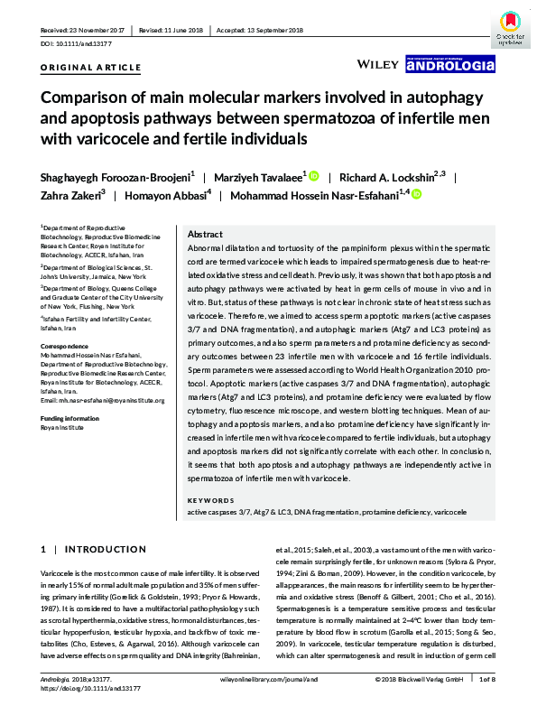 (PDF) Comparison of main molecular markers involved in autophagy and ...