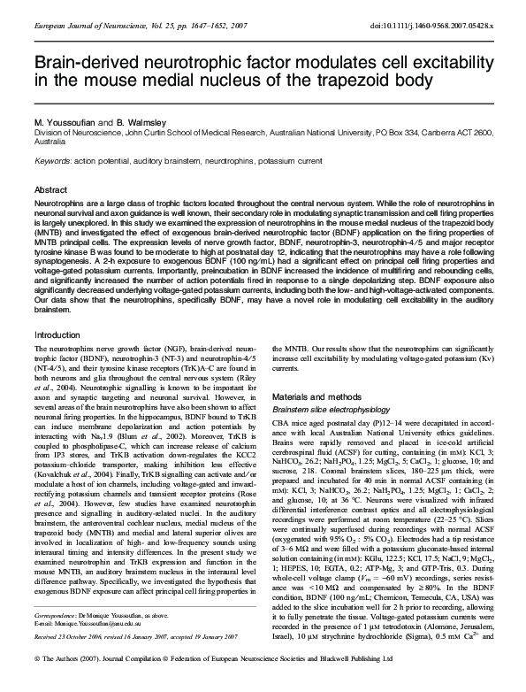 (PDF) Brain‐derived neurotrophic factor modulates cell excitability in ...