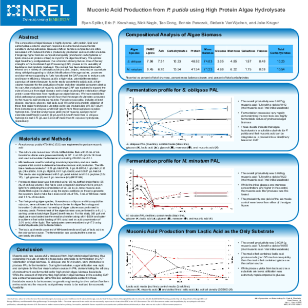 (PDF) Muconic Acid Production from P. putida Using High Protein Algae ...