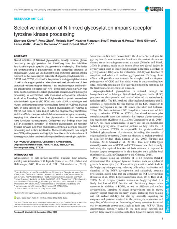 (PDF) Selective inhibition of N-linked glycosylation impairs receptor ...