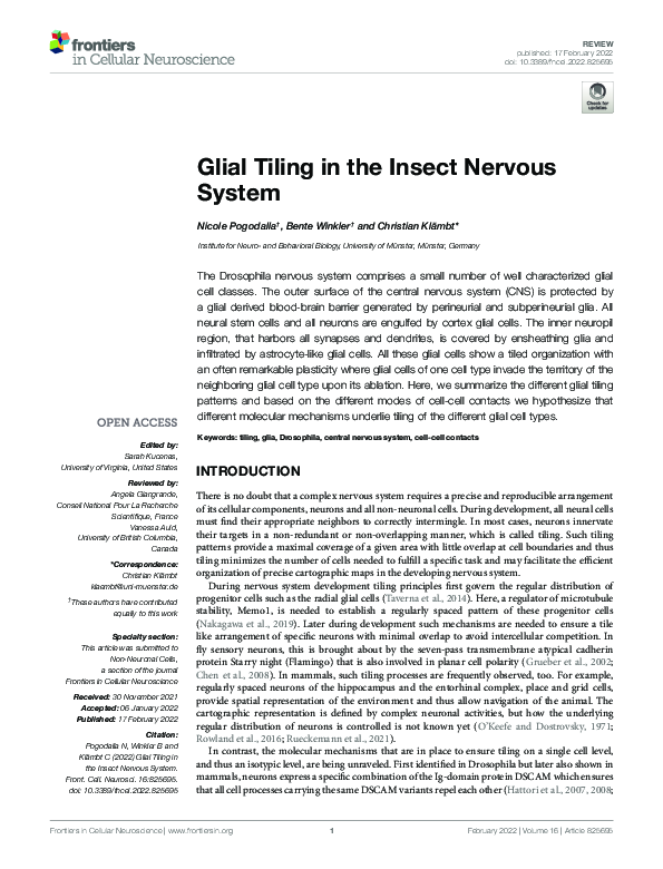 (PDF) Glial Tiling in the Insect Nervous System