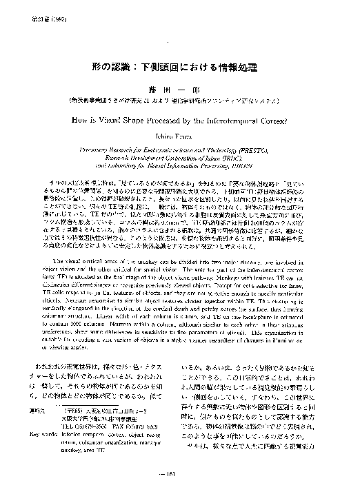 (PDF) How is Visual Shape Processed by the Inferotemporal Cortex?