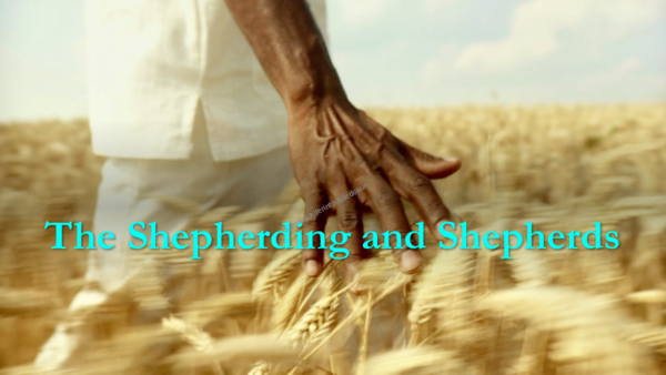 (PDF) The Shepherding and Shepherds