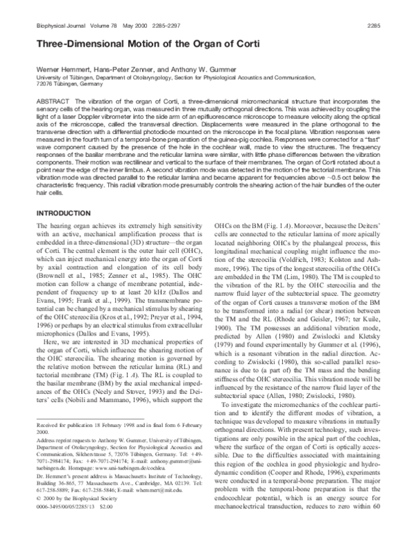 (PDF) Three-Dimensional Motion of the Organ of Corti