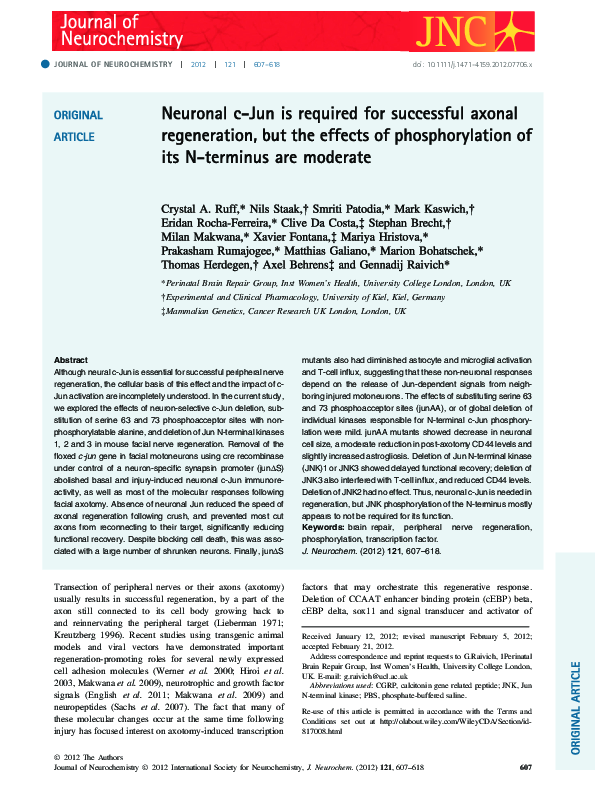 (PDF) Neuronal c-Jun is required for successful axonal regeneration, but the effects of ...