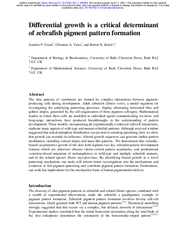 (PDF) Differential growth is a critical determinant of zebrafish ...