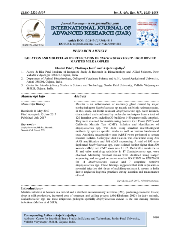 Pdf Molecular Id Of Staphylococcus In Bovine Mastitis