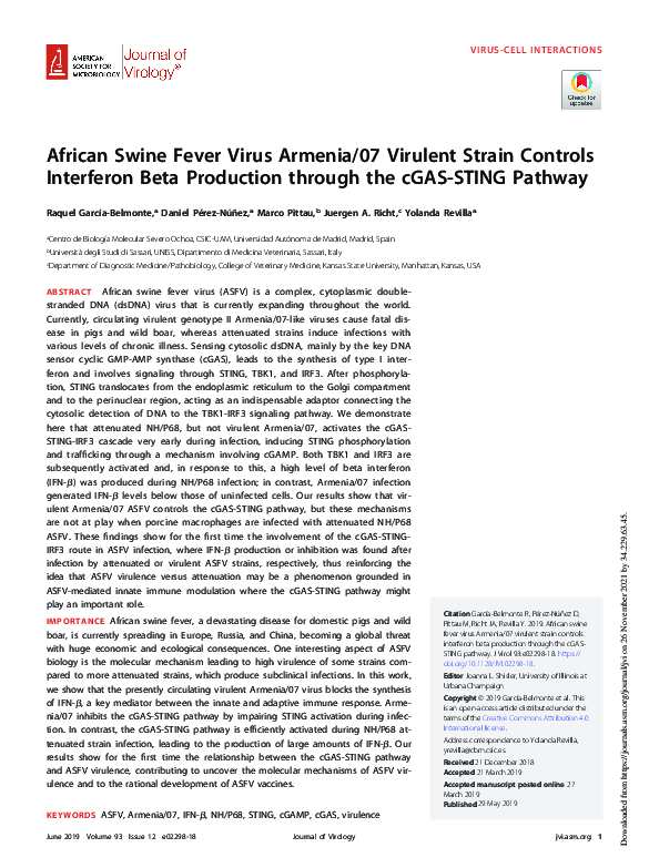 (PDF) African Swine Fever Virus Armenia/07 Virulent Strain Controls ...