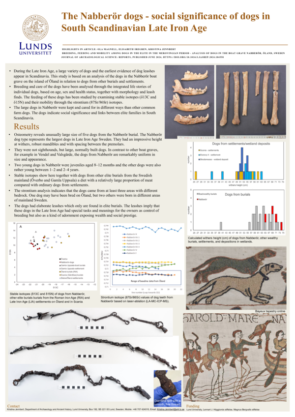 (PDF) Poster The Nabberör dogs - social significance of dogs in South ...