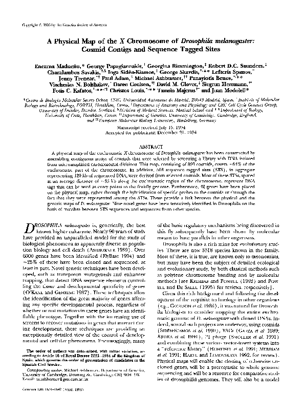 (PDF) A physical map of the X chromosome of Drosophila melanogaster ...