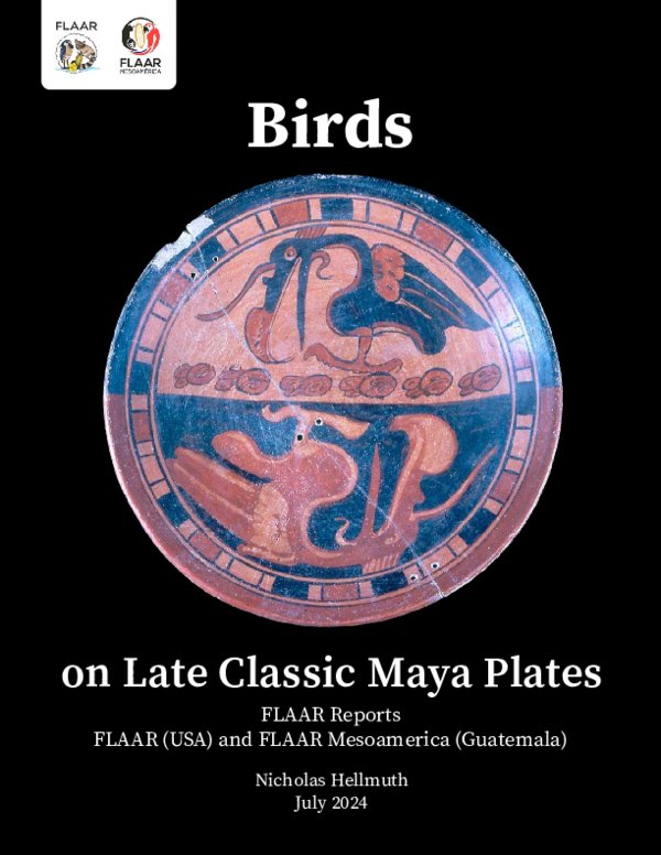 (PDF) Birds on Late Classic Maya Plates